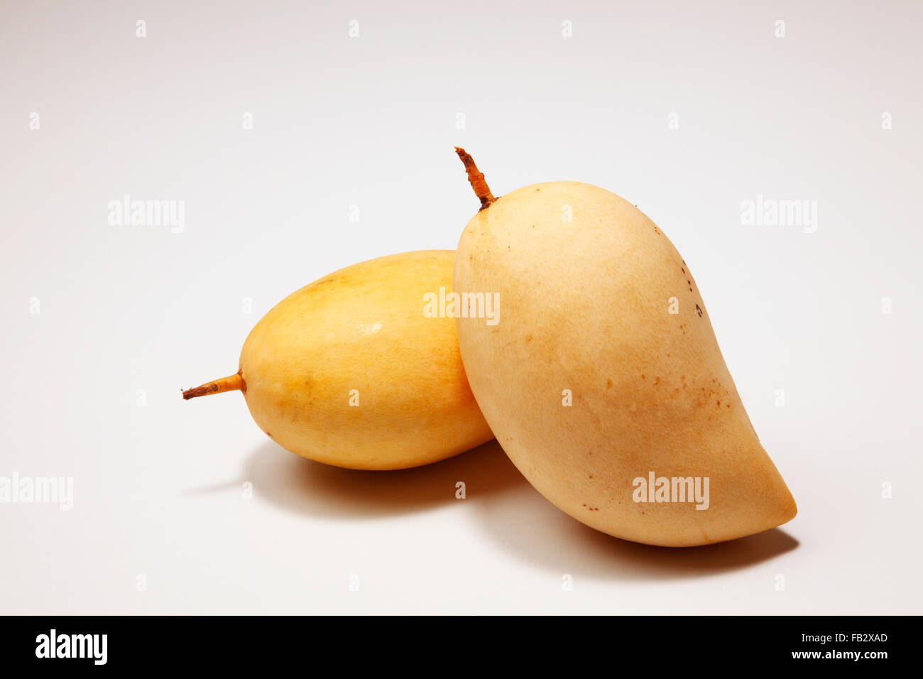 Two Mangos on plain background Stock Photo - Alamy
