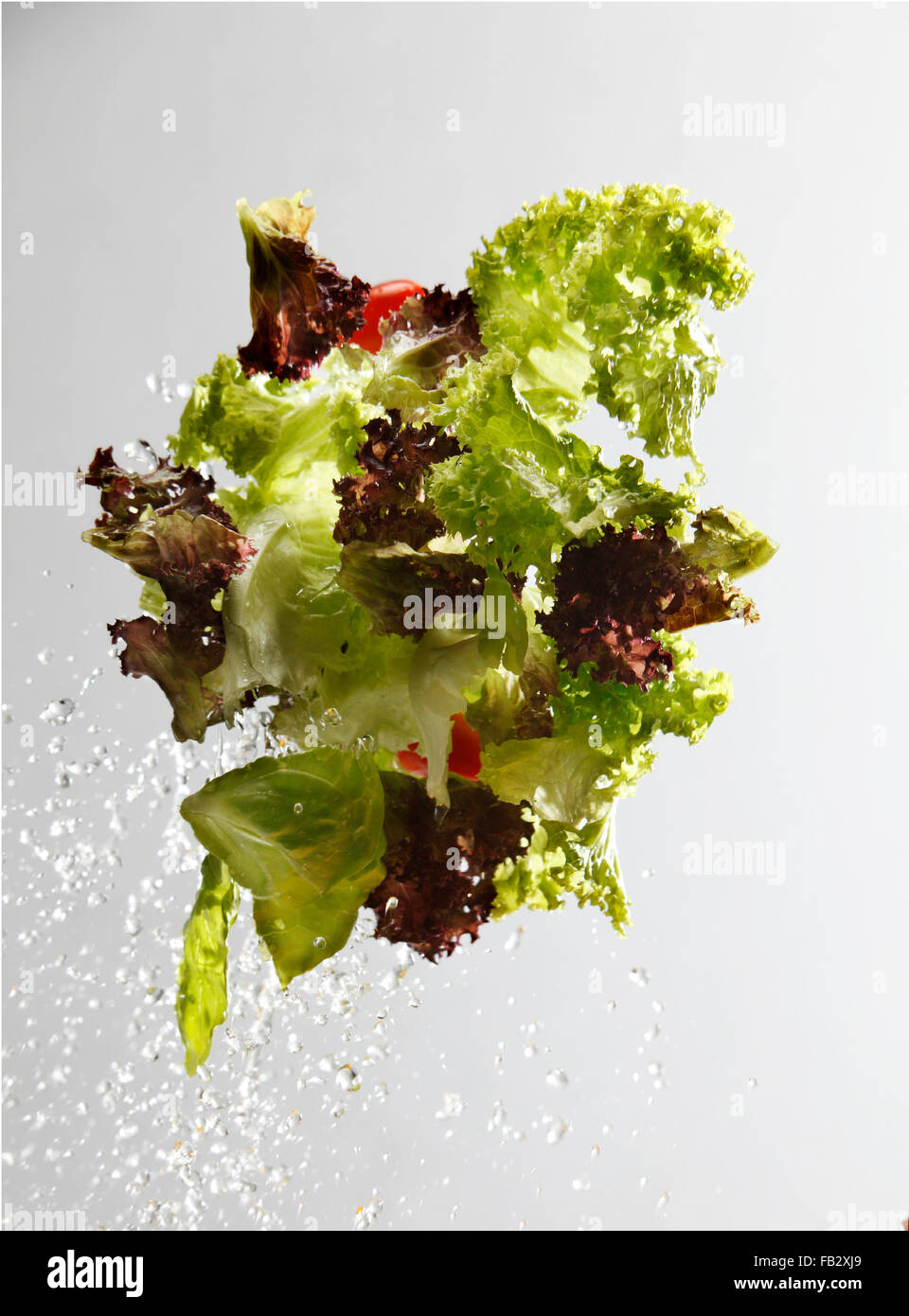 splashing of tossed salad with water Stock Photo - Alamy