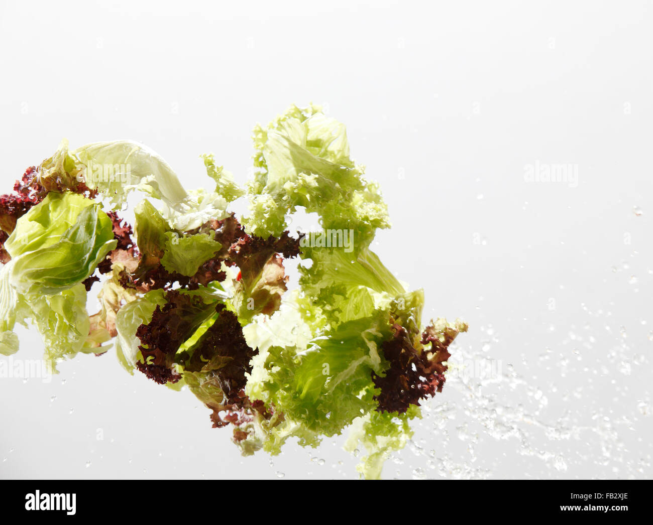 splashing of a tossed salad Stock Photo - Alamy
