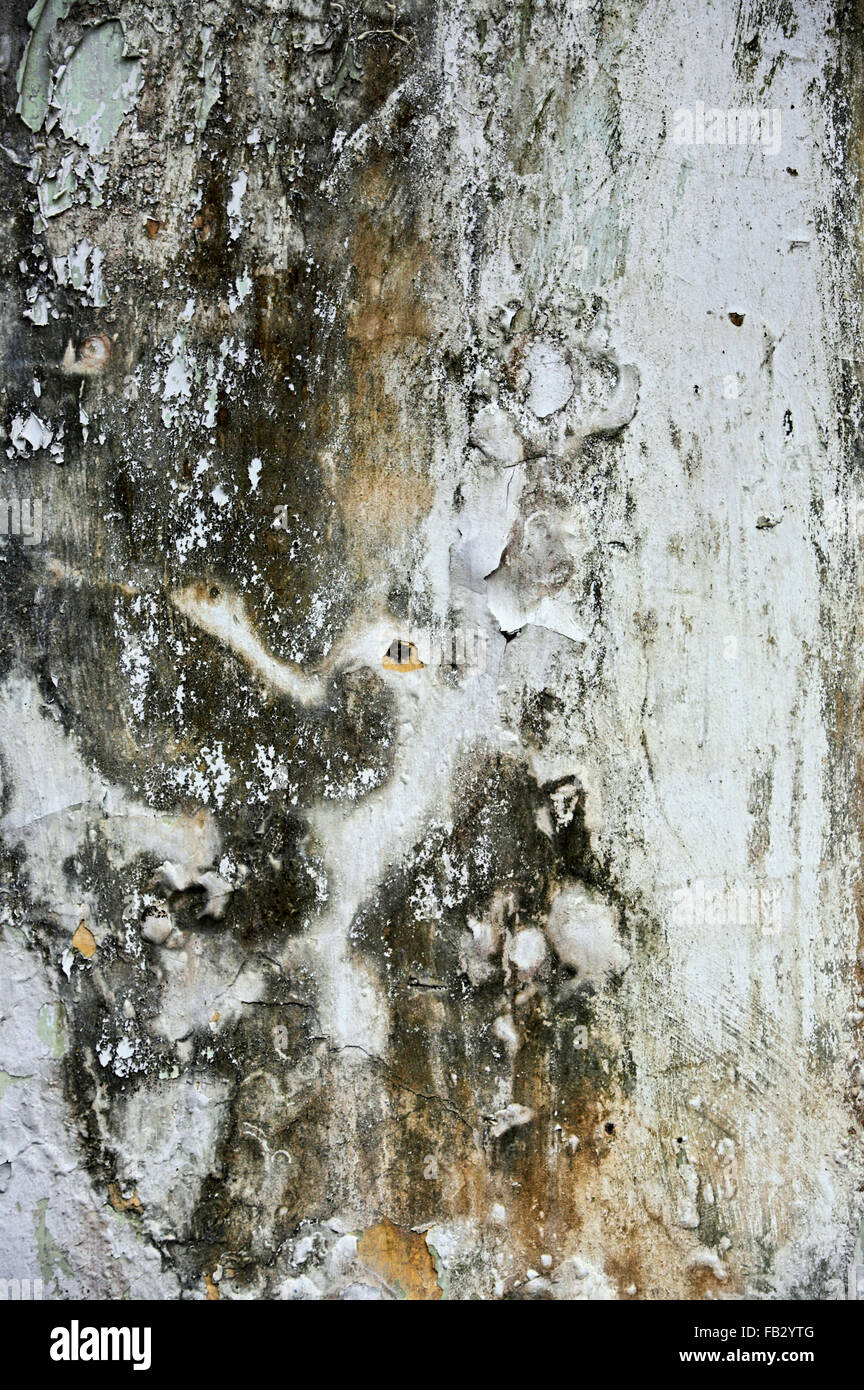 stock image texture of the wall Stock Photo - Alamy