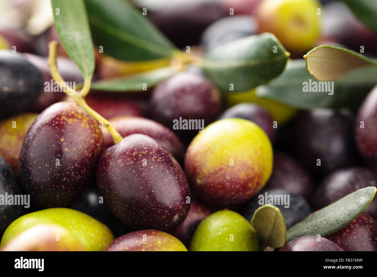 Olive natural store hi-res stock photography and images - Alamy