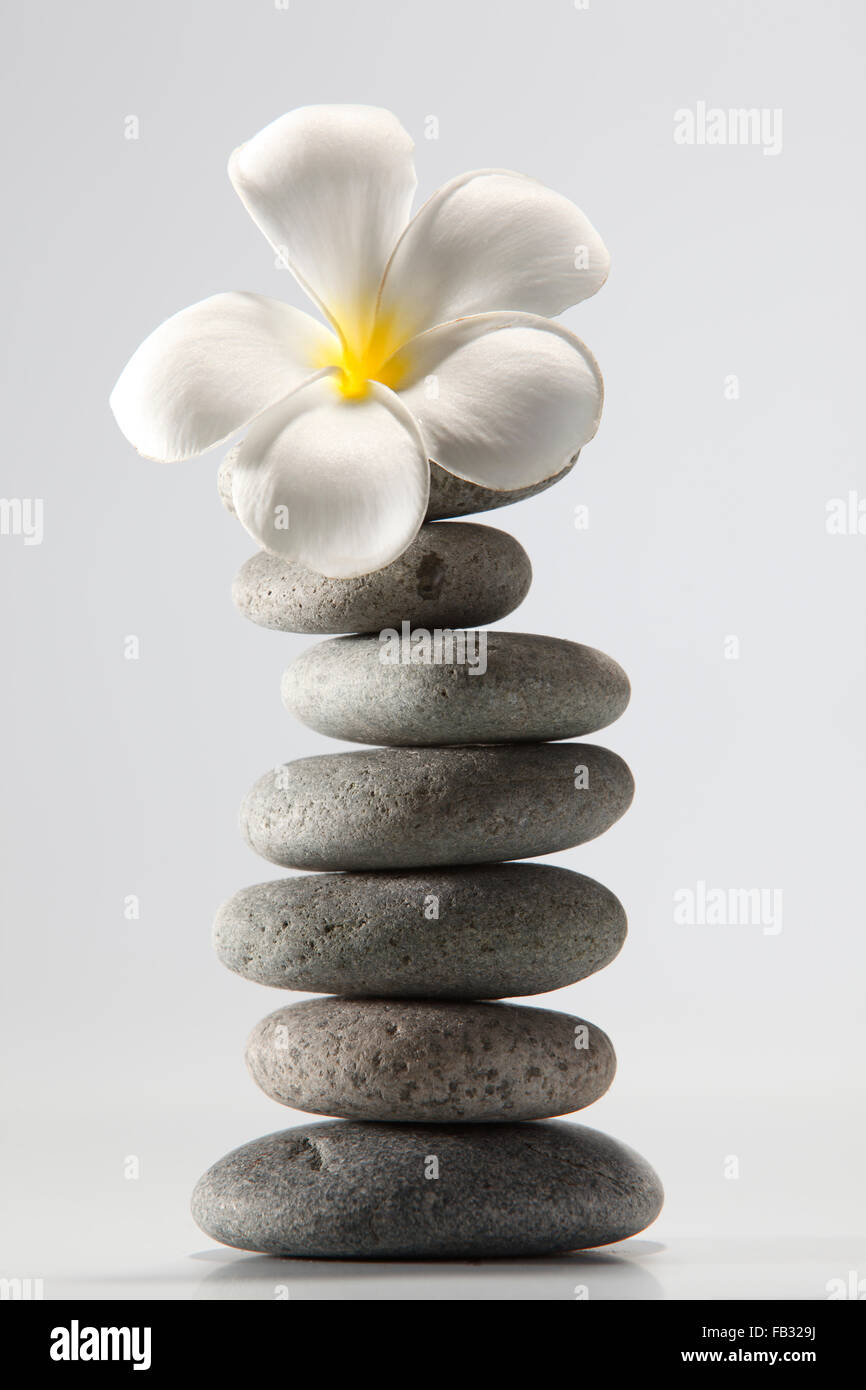 plumeria flower on top of stack of stone Stock Photo - Alamy