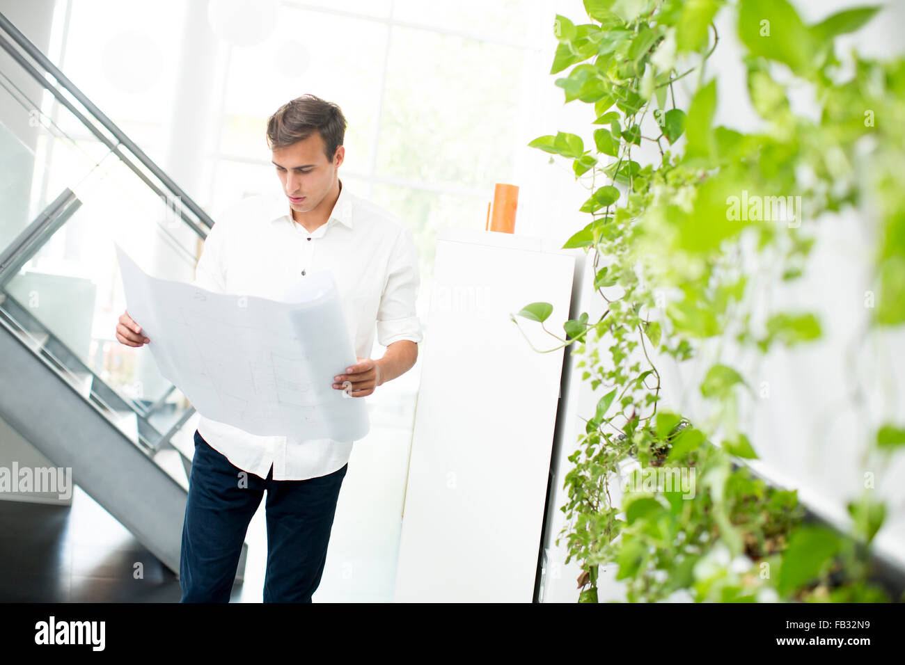 Young businessman looking document in hi-res stock photography and ...