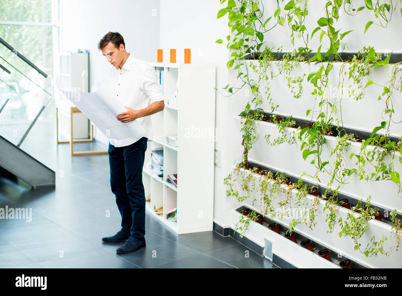 Young businessman looking document in hi-res stock photography and ...