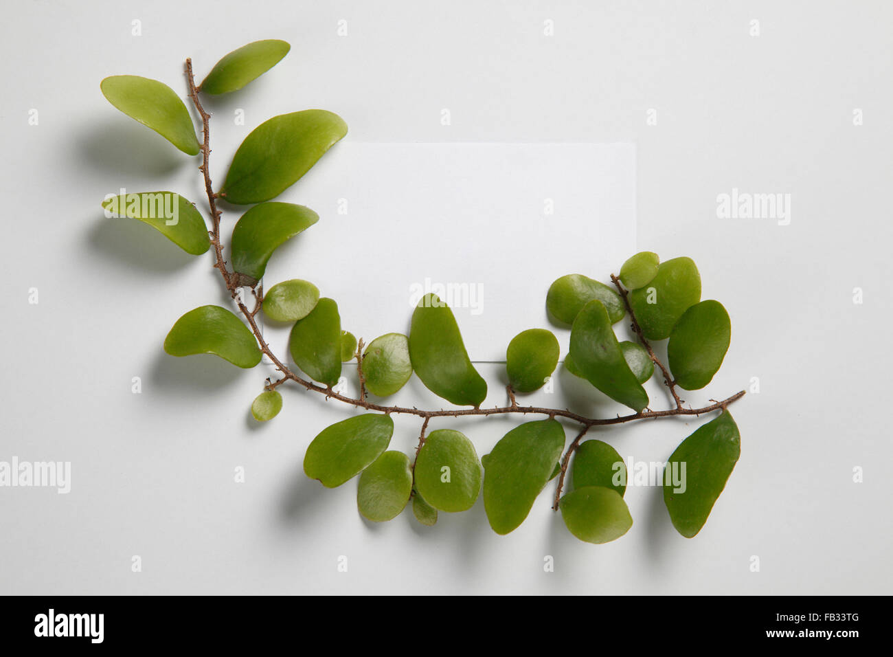 Grow a garden wording hi-res stock photography and images - Alamy
