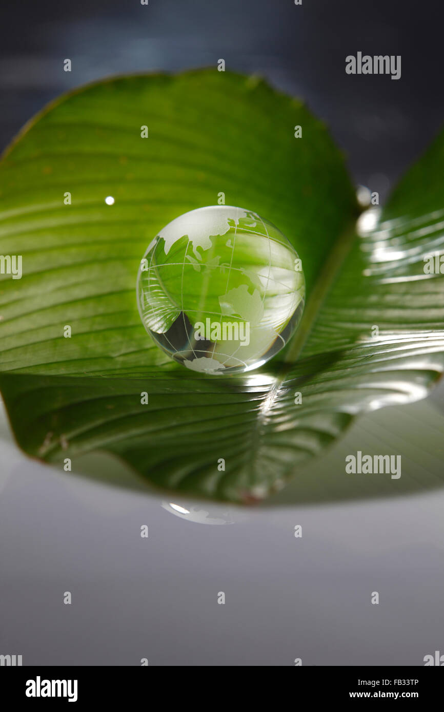 Glass globe on green hi-res stock photography and images - Alamy