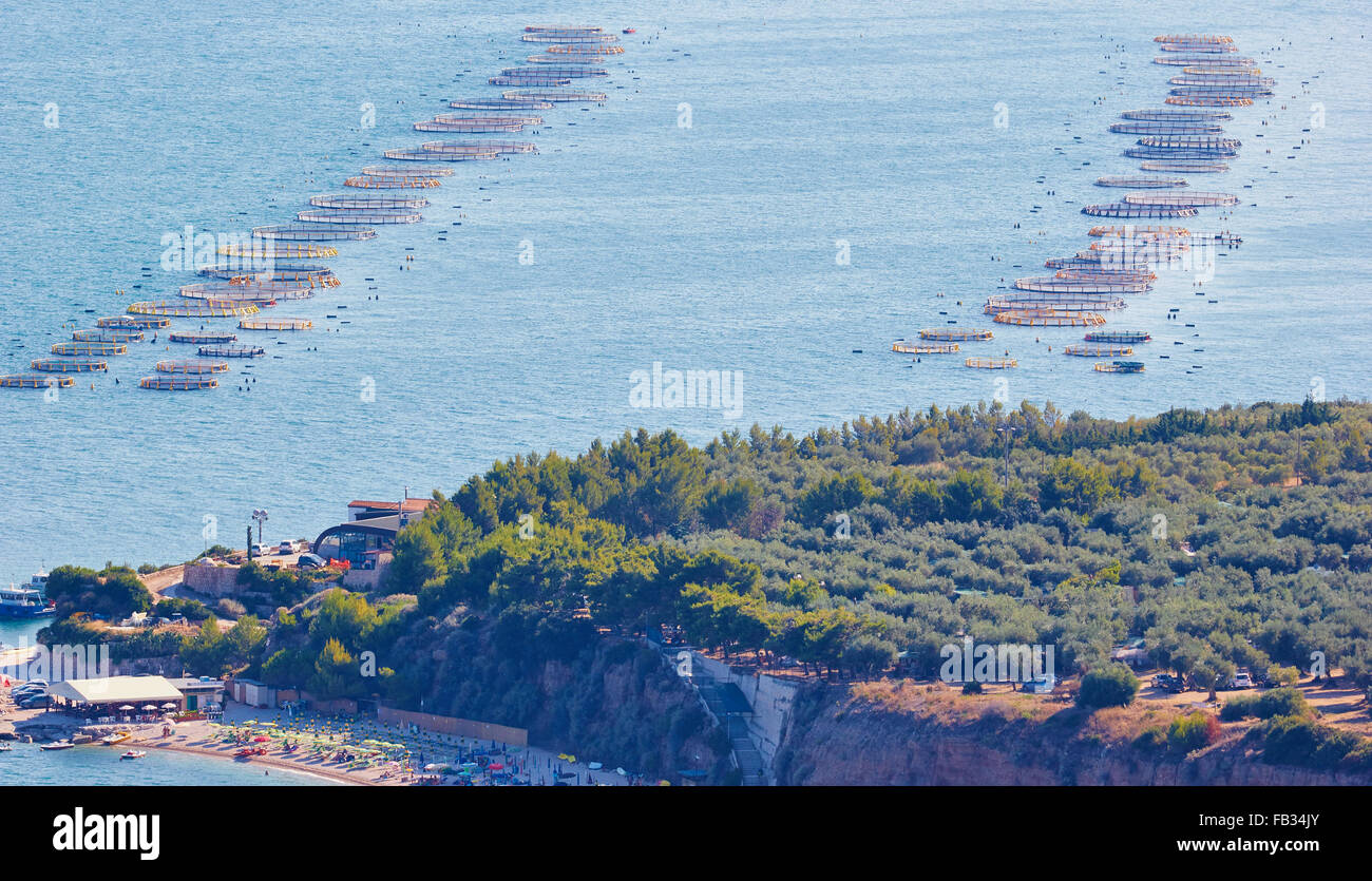 Aquafarming hi-res stock photography and images - Alamy