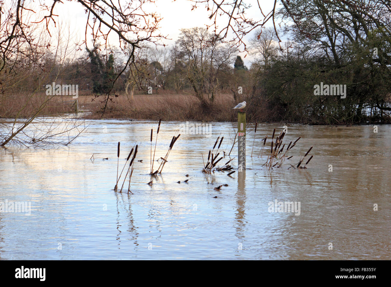 River flooding marker hi-res stock photography and images - Alamy