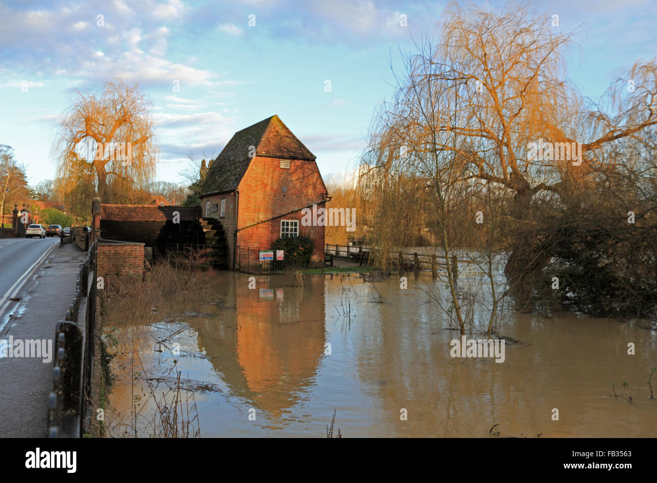 Cobham, Surrey, England, UK. 8th January 2016. As the wet weather ...