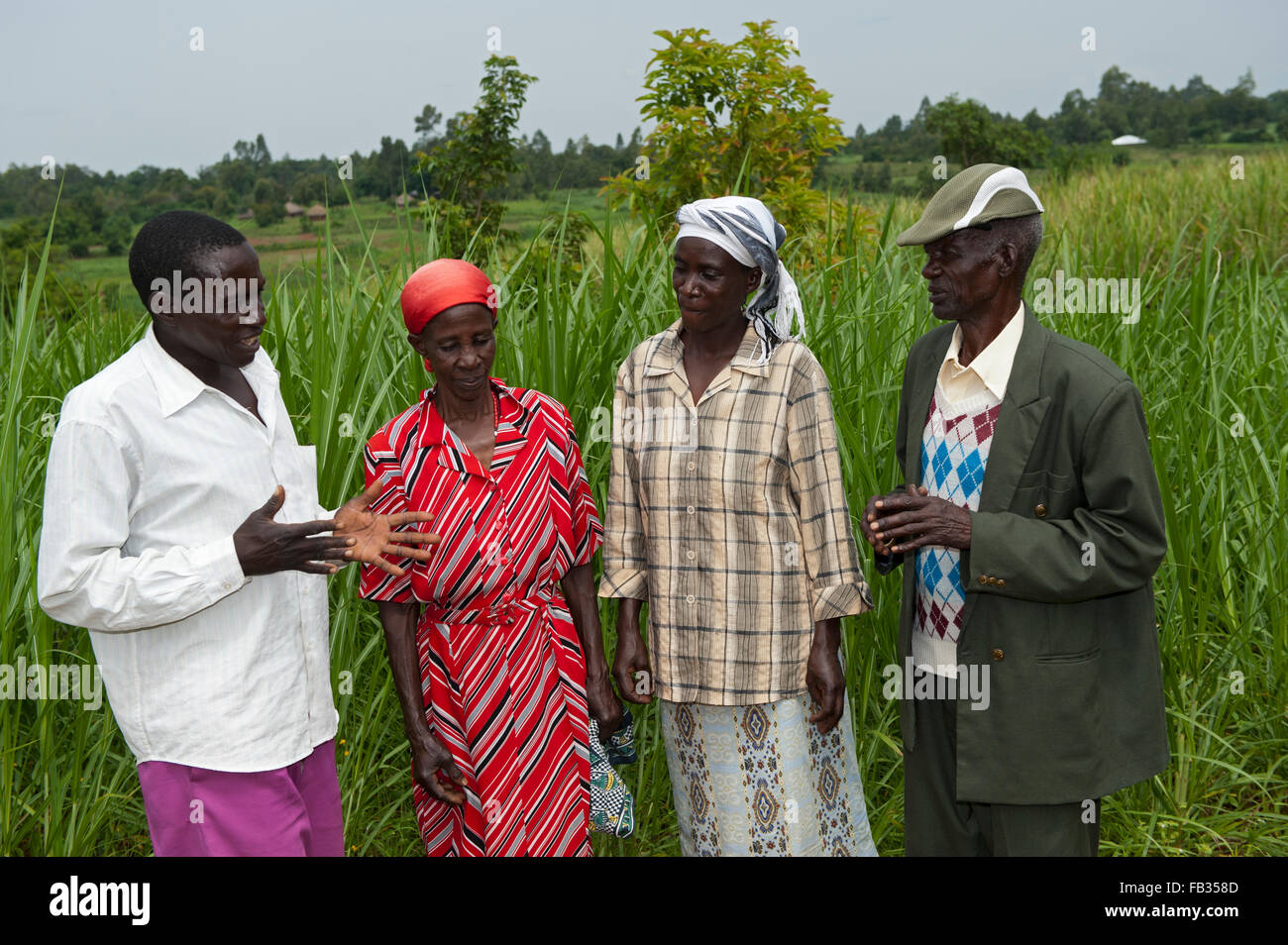 Agricultural expert talking to farmers about the benefits of looking ...