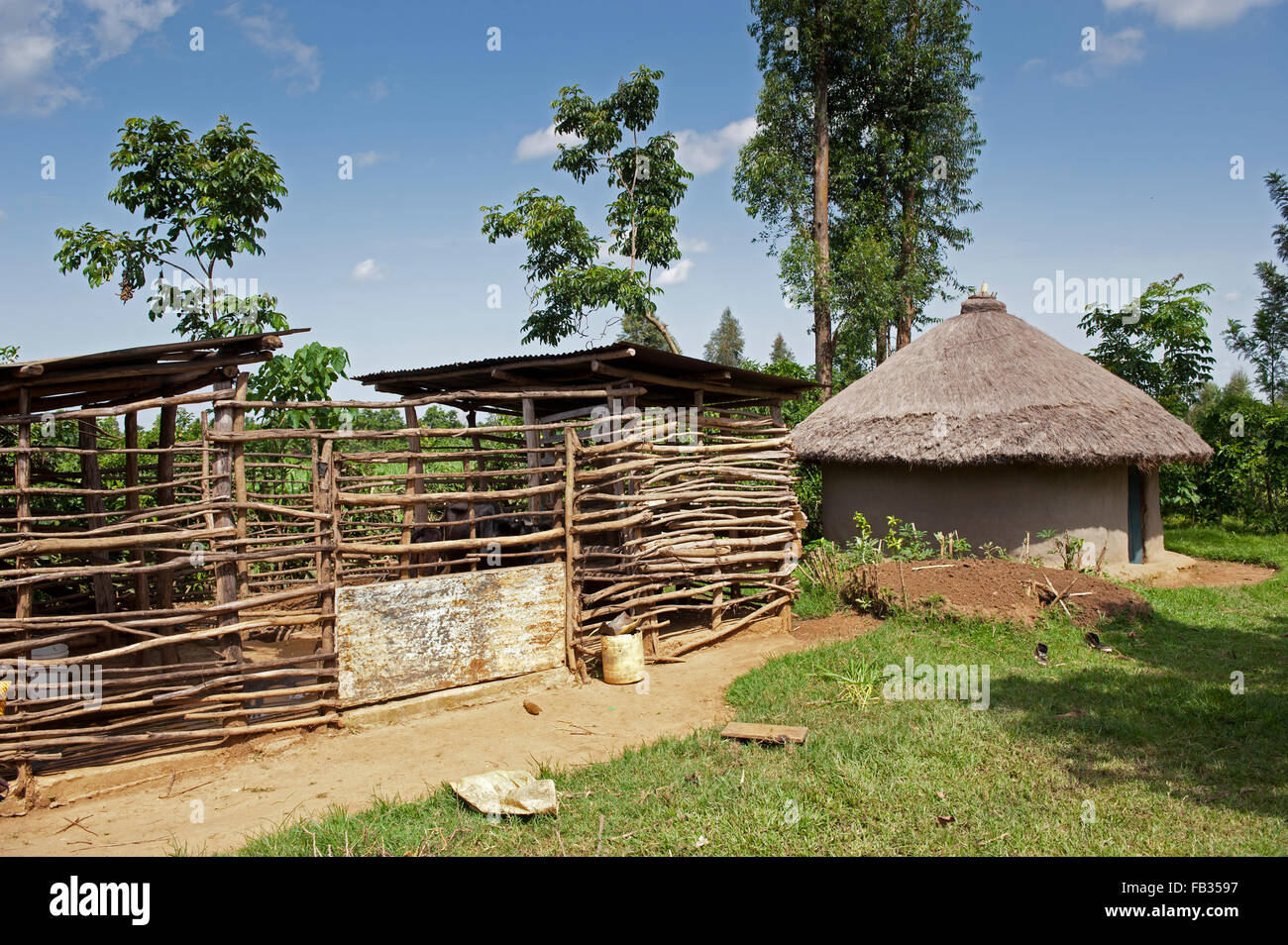 African farm with hut hi-res stock photography and images - Alamy