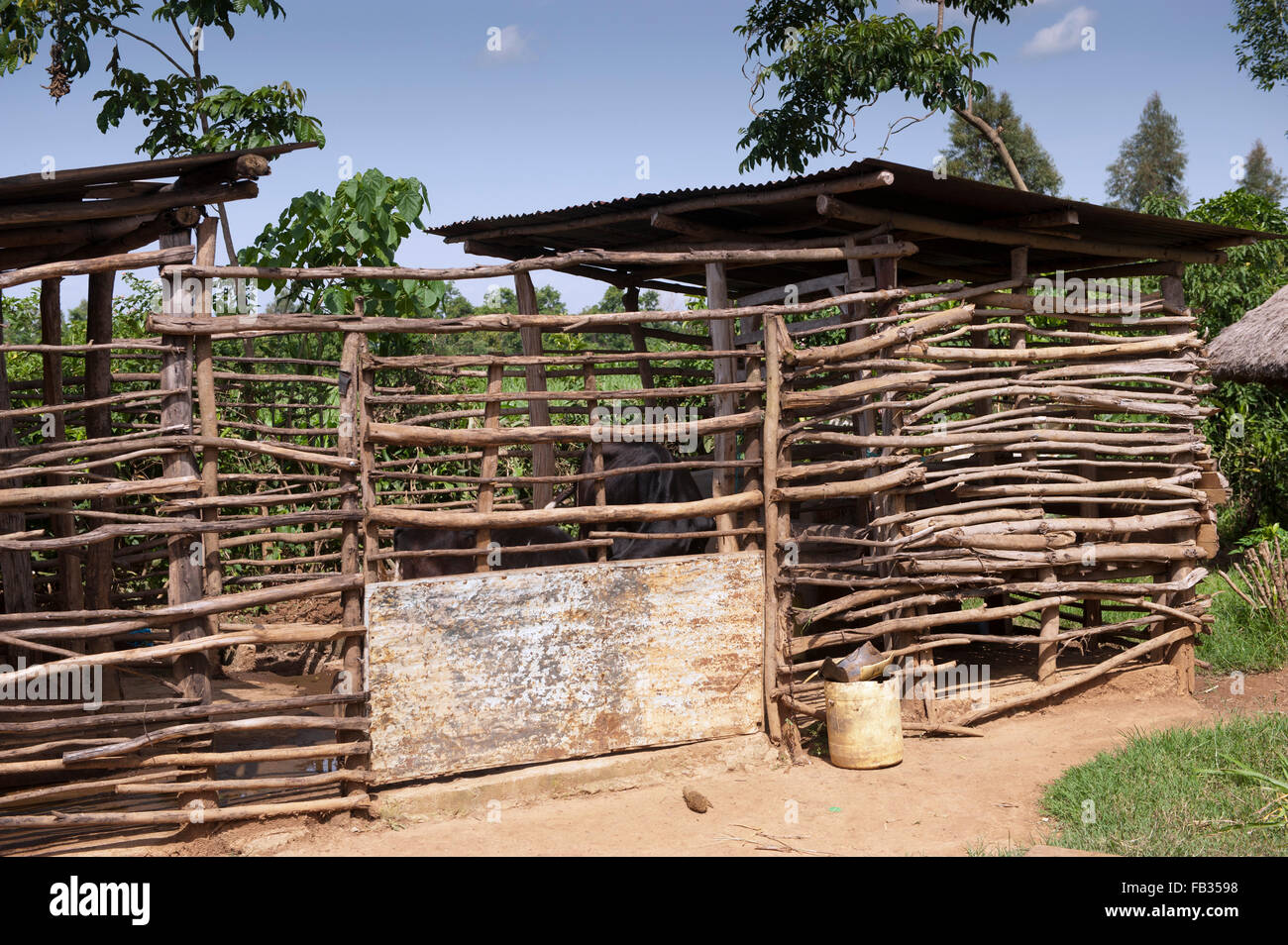 African farm with hut hi-res stock photography and images - Alamy