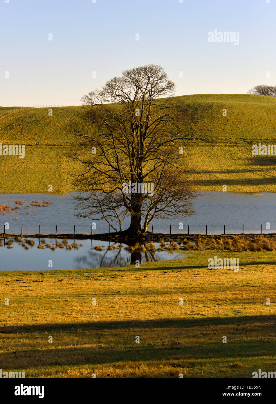 Flood waters at Bonnington, South Lanarkshire, Scotland, United Kingdom ...