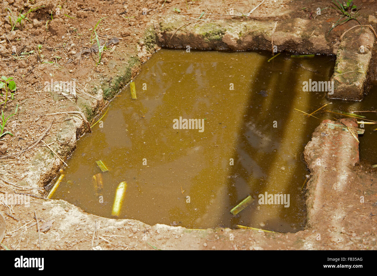 Manure waste pit outside a single cow shed in Kenya. The waste is used ...