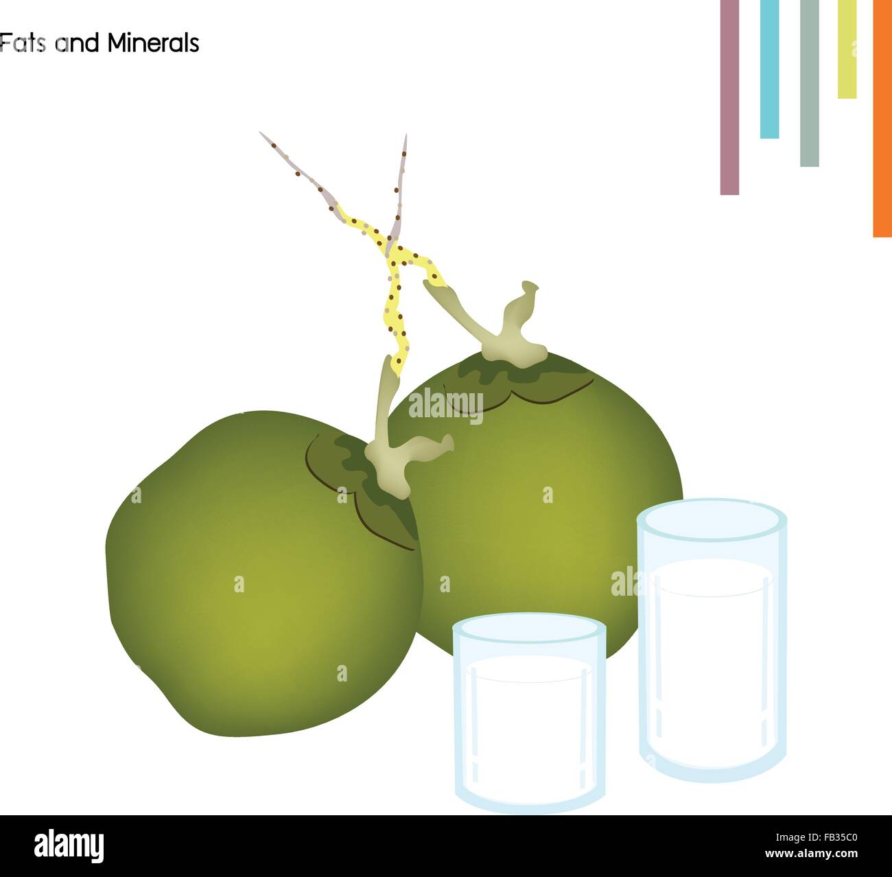 Healthcare Concept, Illustration of Coconut with Fats and Minerals ...