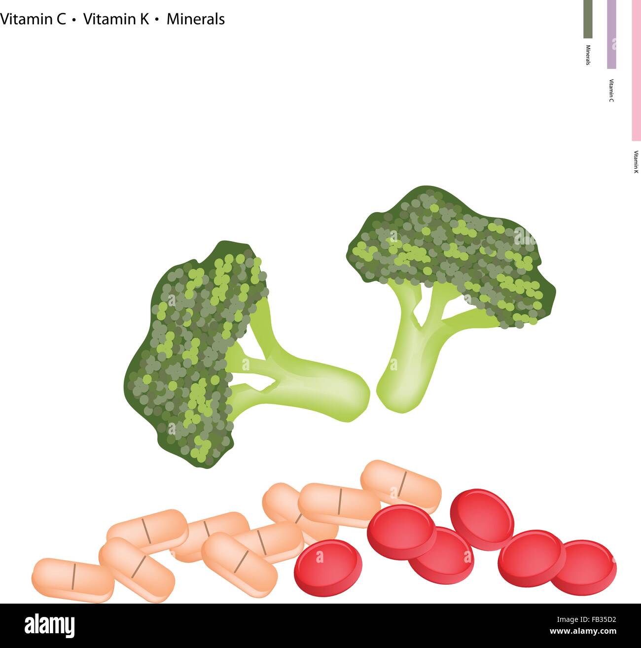 Healthcare Concept, Illustration of Broccoli with Vitamin C, Vitamin K ...