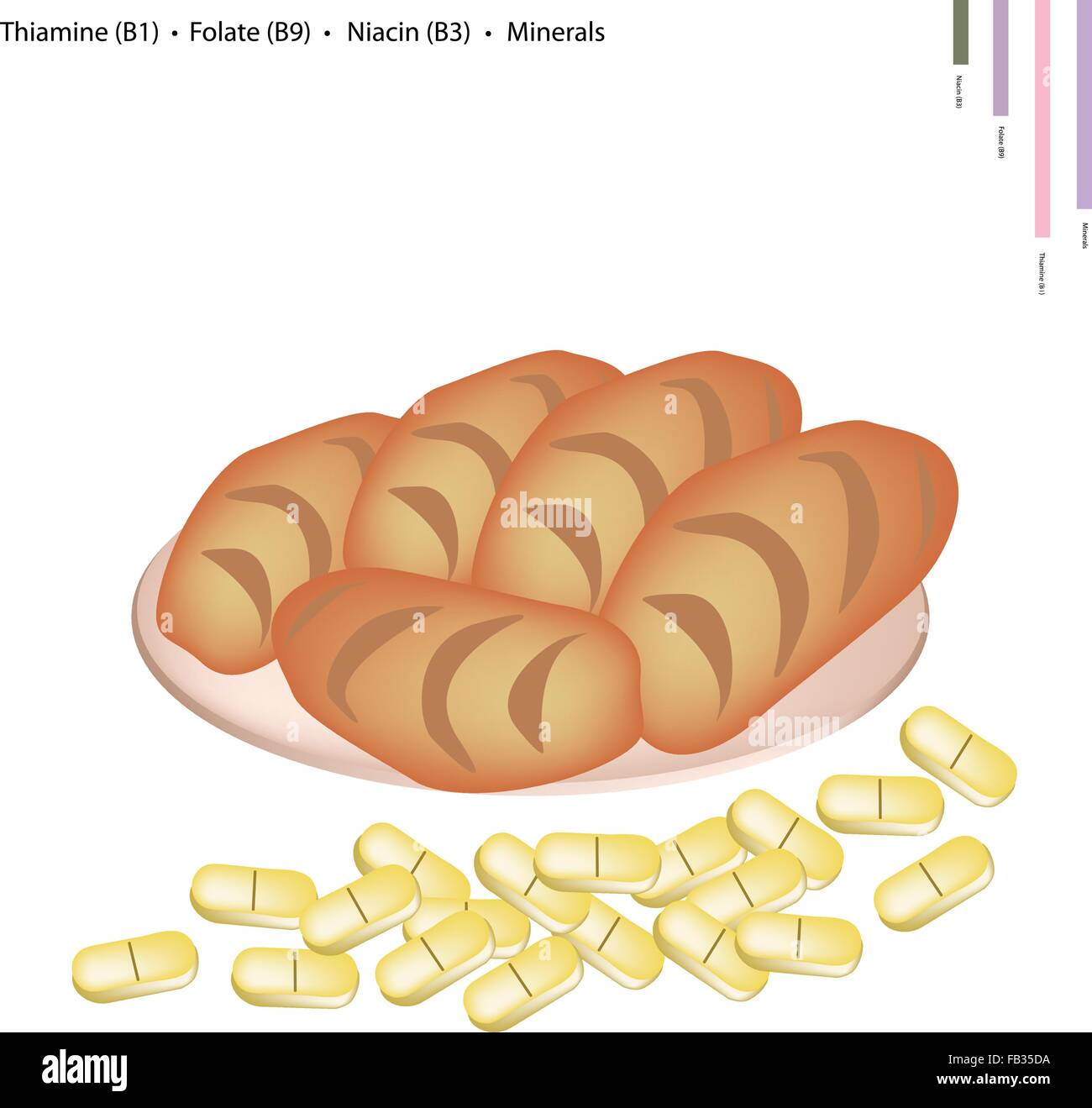 Healthcare Concept, Illustration of Bread with Thiamine B1, Folate B9 ...