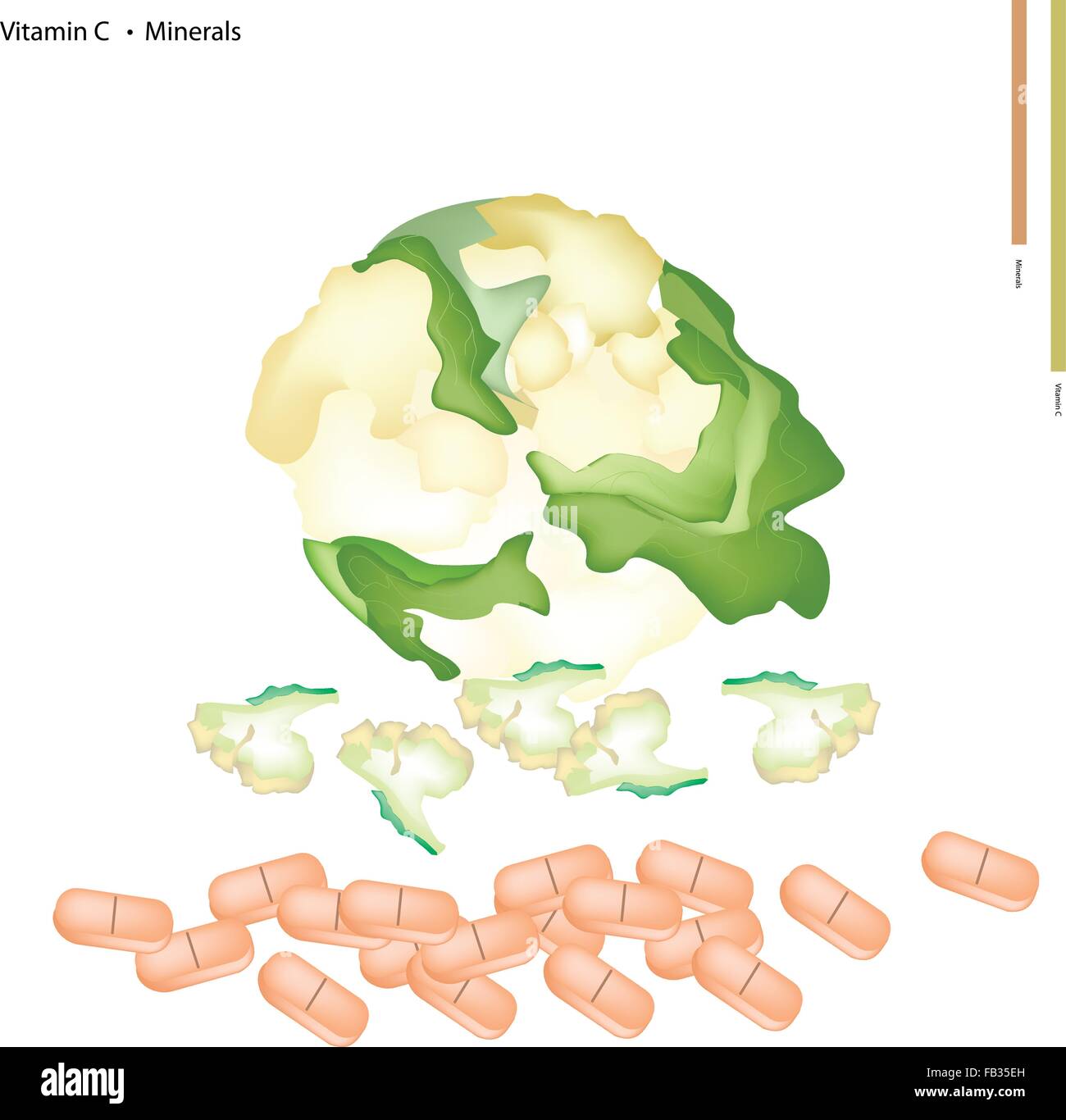 Healthcare Concept, Illustration of Fresh Cauliflower Vitamin C and ...