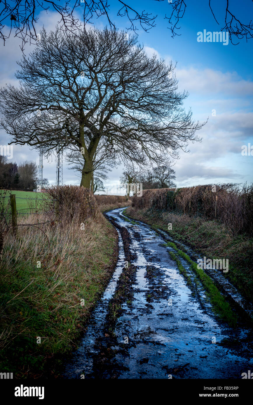 Essington hi-res stock photography and images - Alamy