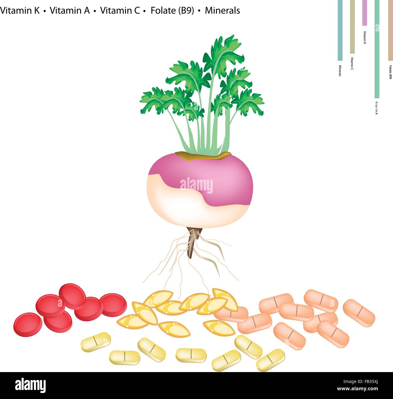 Healthcare Concept, Illustration of Purple Turnips with Vitamin K ...