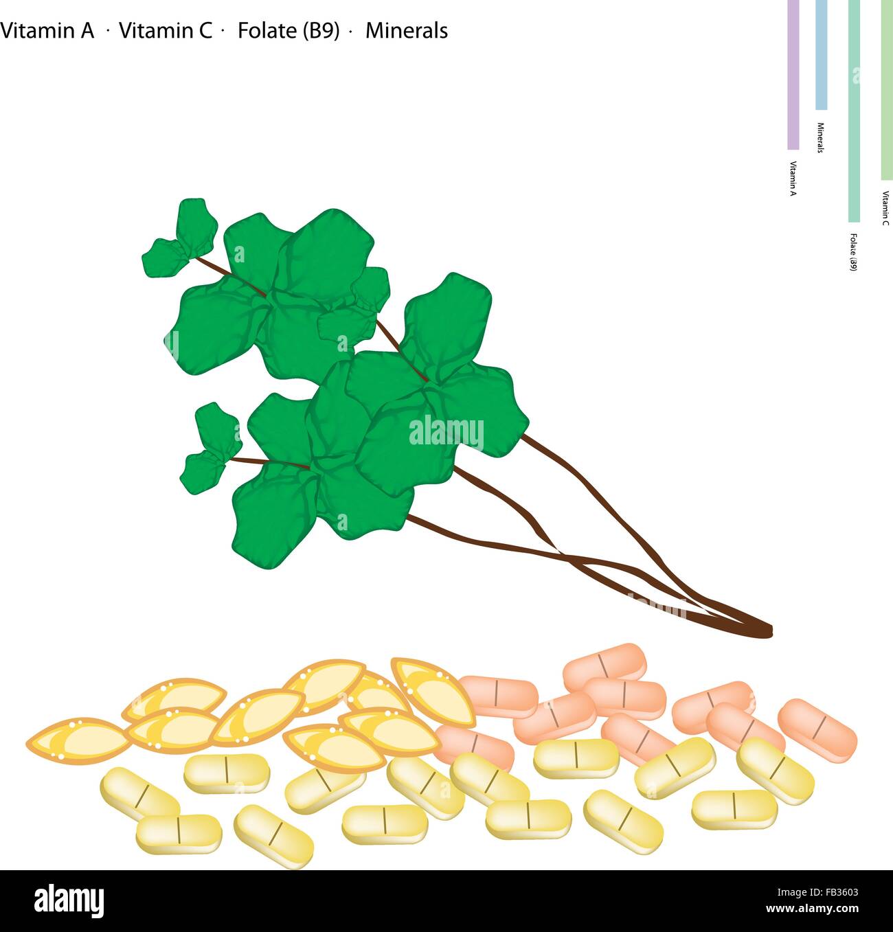 Healthcare Concept, Illustration of Peppermint or Lemon Mint with ...