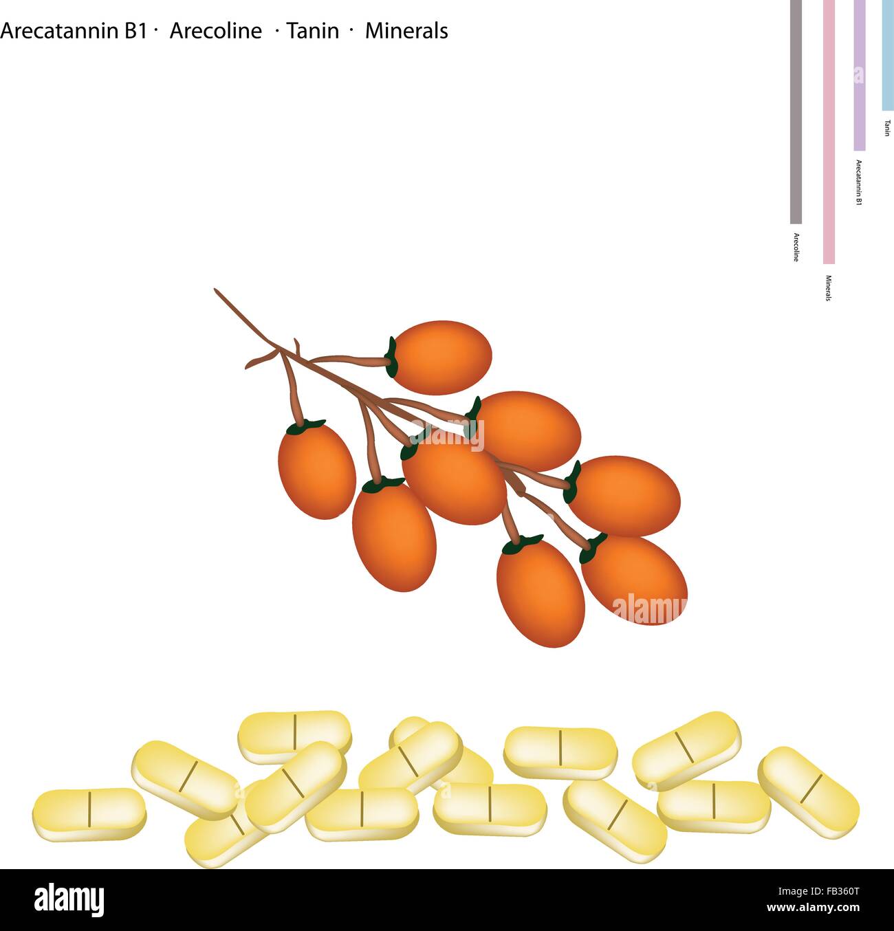 Betel nut drug Stock Vector Images - Alamy