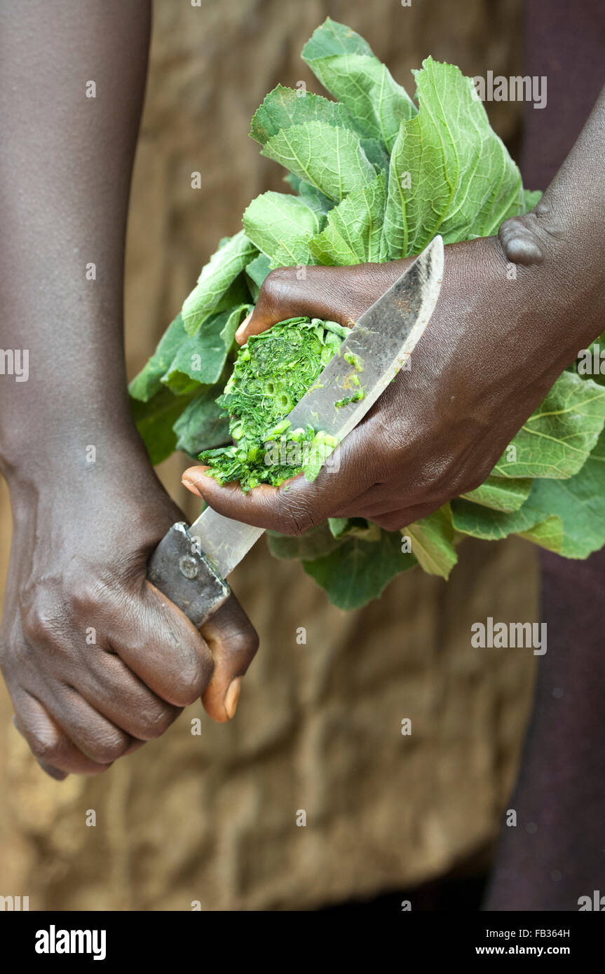 Lady chopping herbs hi-res stock photography and images - Alamy
