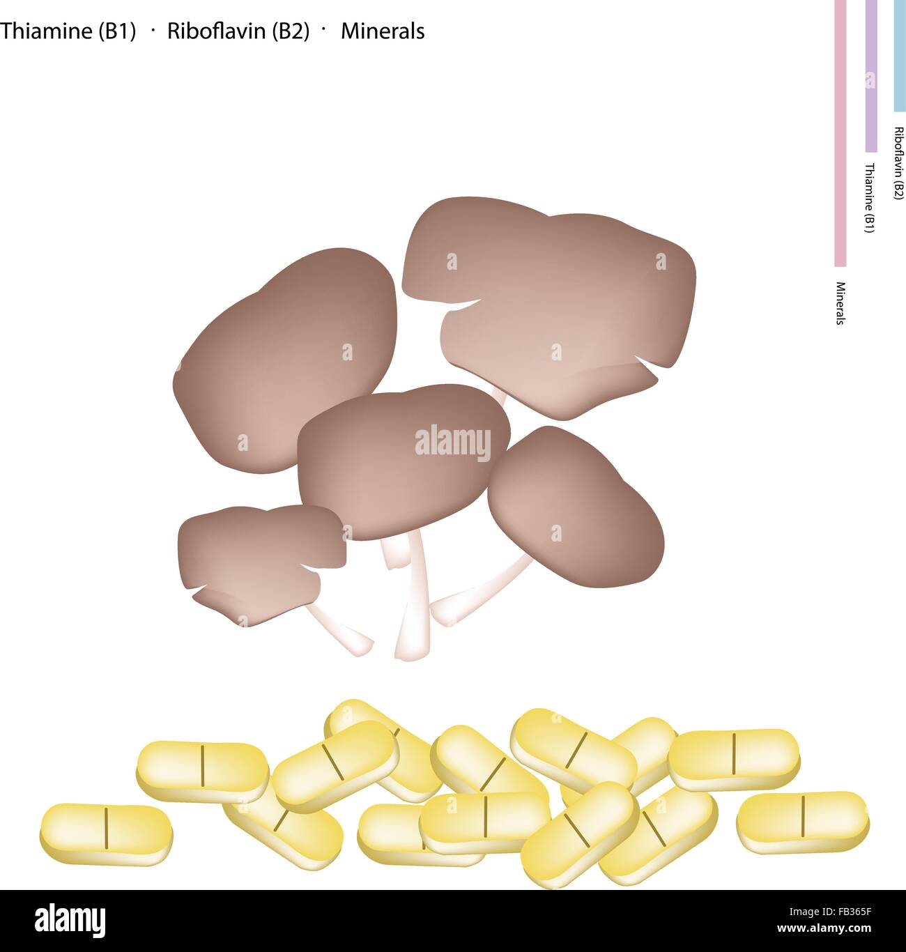 Healthcare Concept, Pleurotus Mushrooms or Oyster Mushrooms with ...