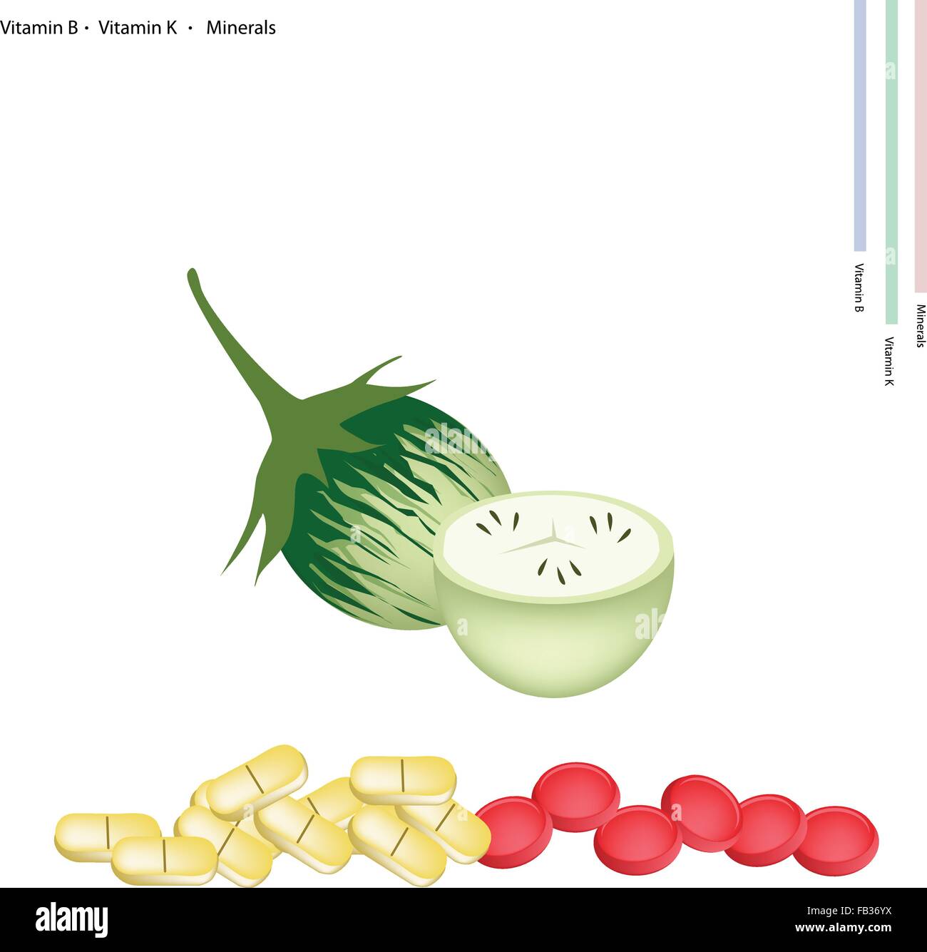 Healthcare Concept, Illustration of Cockroach Berry or Green Eggplant ...