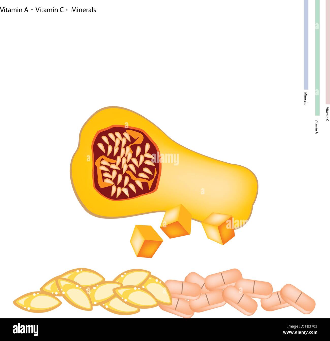 Healthcare Concept, Illustration of Fresh Butternut Pumpkin or ...