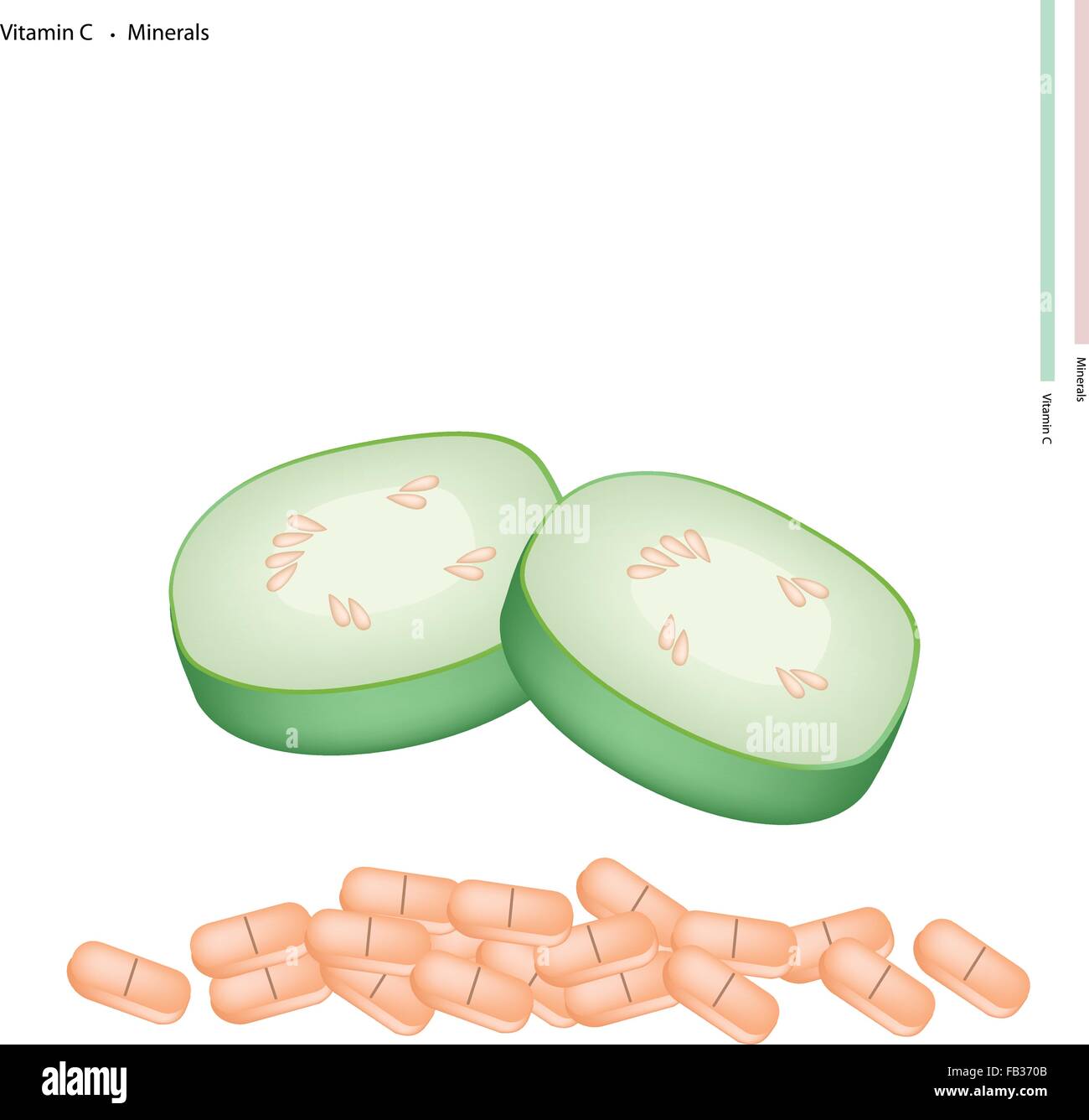 Healthcare Concept, Illustration of Sliced Winter Melon, Wax Gourd or ...