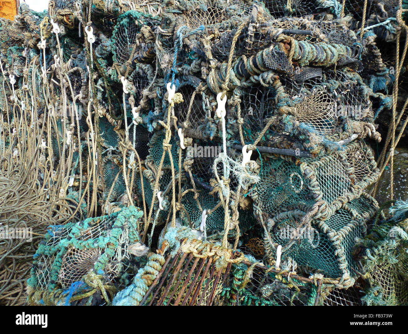 lobster nets in Cornwall Stock Photo - Alamy