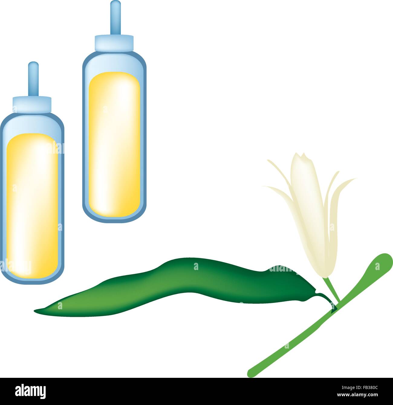 Champa flower tree Stock Vector Images - Alamy