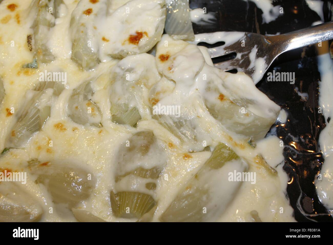 Fennel gratin with bechamel sauce Stock Photo - Alamy