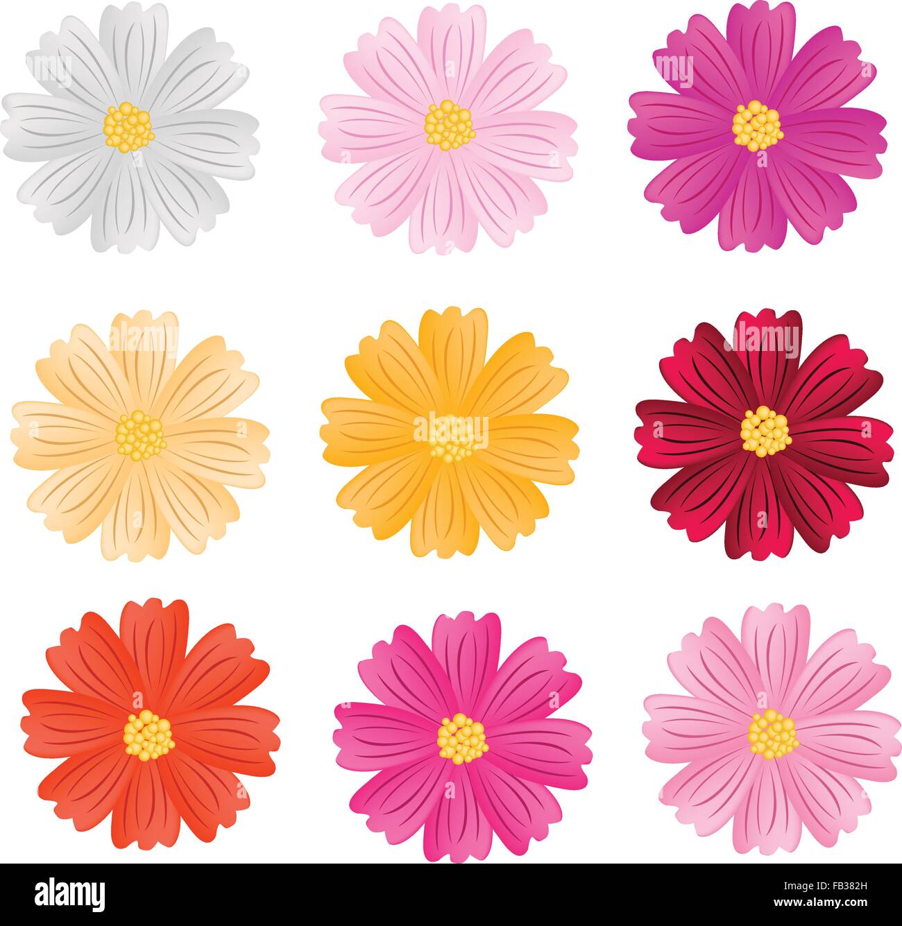 Symbol of Love, Illustration Collection of Cosmos Flowers or Cosmos ...