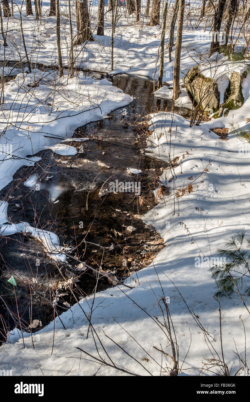 Freeze frame hi-res stock photography and images - Alamy