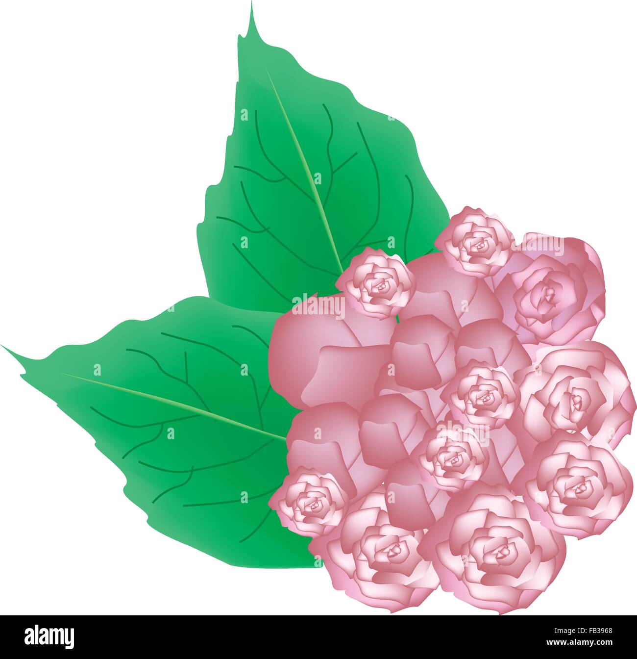 Rose bower Cut Out Stock Images & Pictures - Alamy