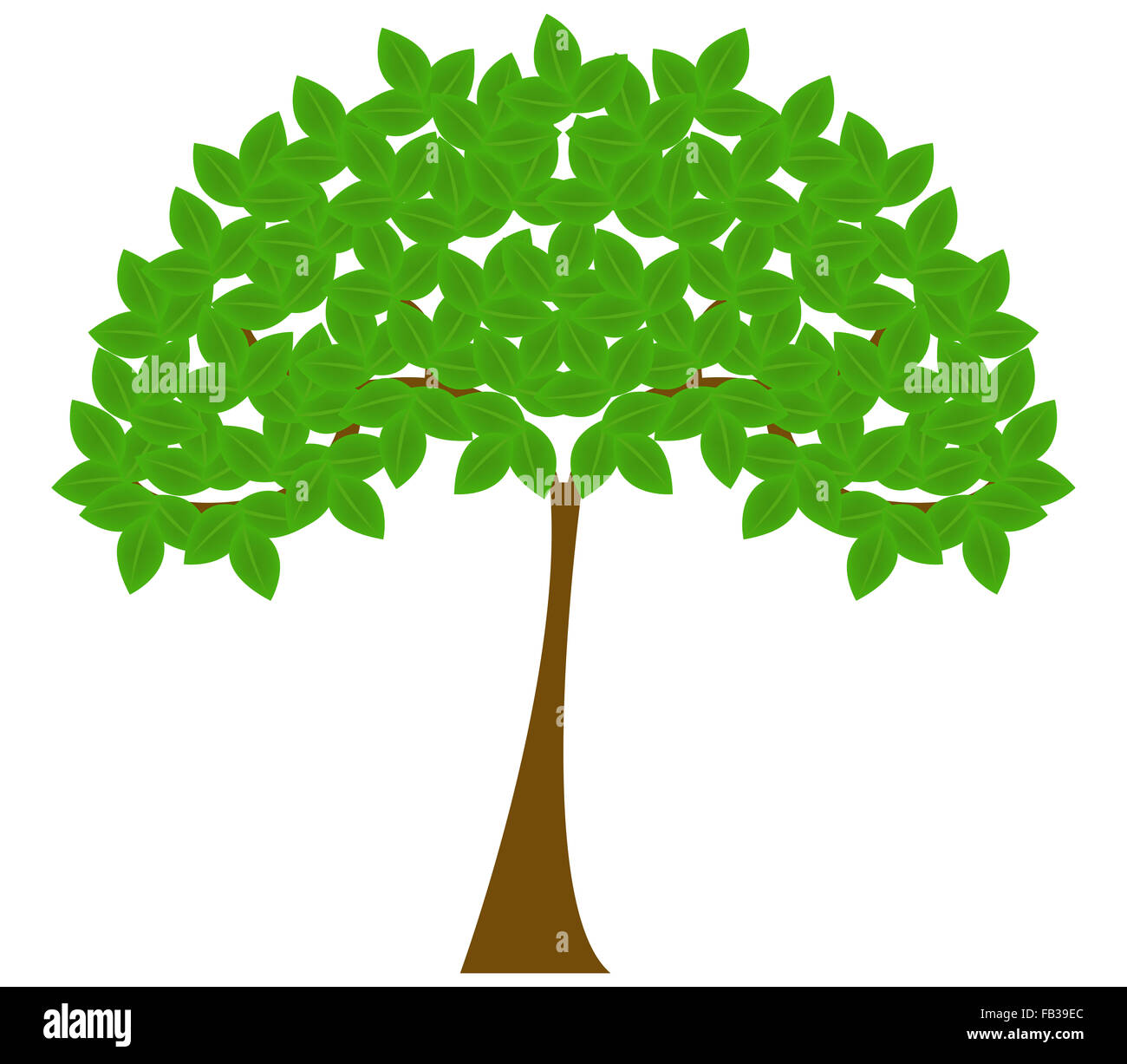 tree on white background Stock Photo - Alamy
