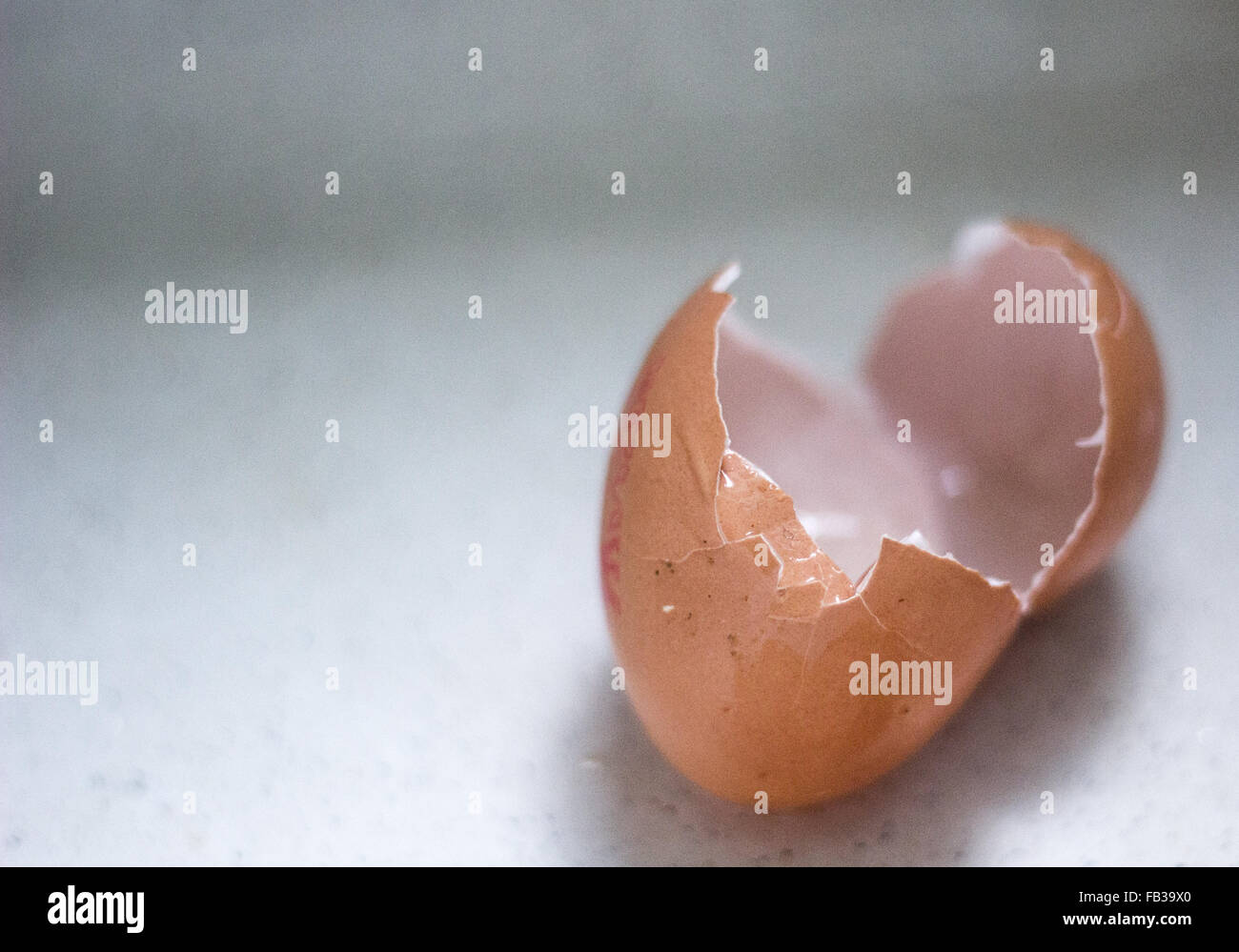 Cracked empty egg shell in a sink ready to be thrown away Stock Photo ...