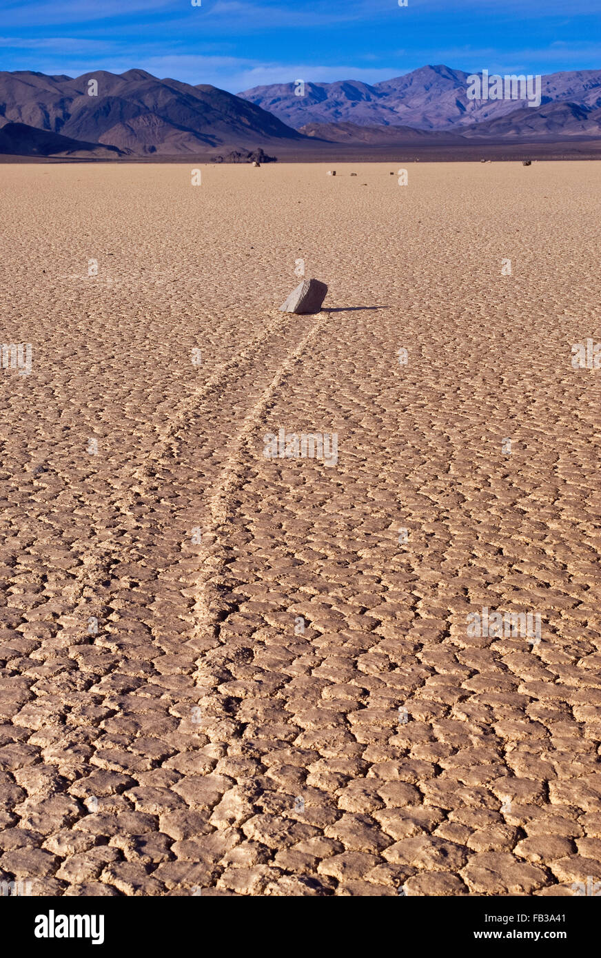 Moving rocks at The Racetrack dry lake, Mojave Desert in Death Valley ...