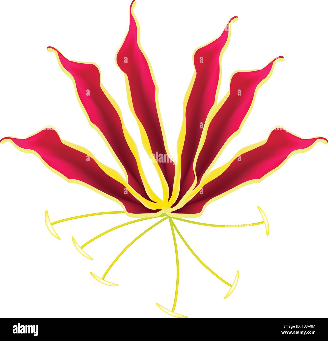 Flame lily tree Stock Vector Images - Alamy