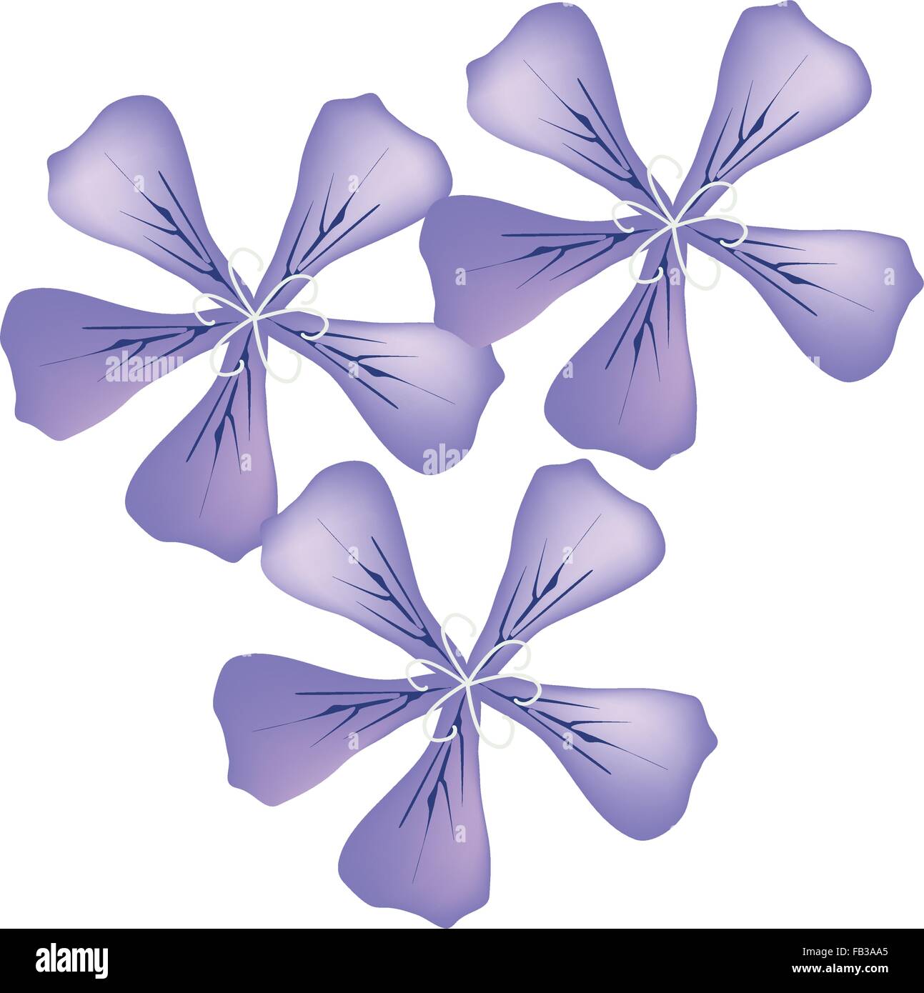 Beautiful Flower, Illustration of Three Beautiful Purple Rose Geranium ...