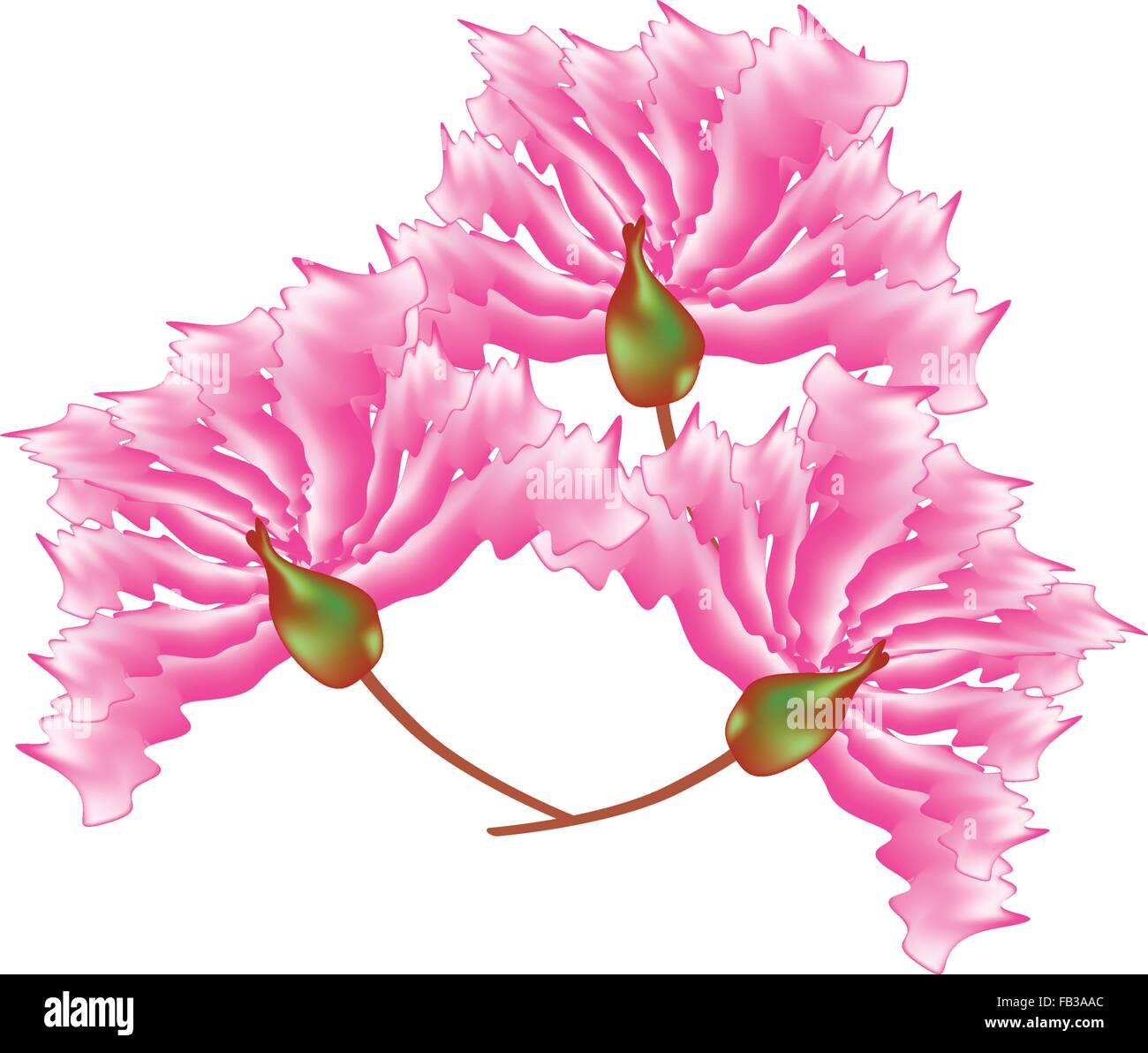 Lagerstroemia Stock Vector Images - Alamy