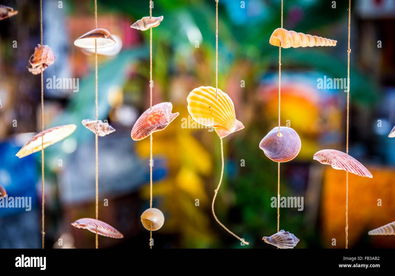 Sea shells souvenirs somewhere in Dominican Republic Stock Photo - Alamy