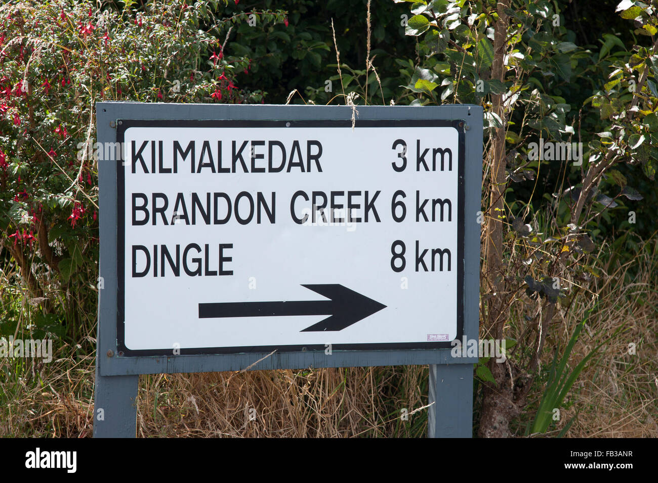 Dingle Road Sign; Ireland, Europe Stock Photo - Alamy