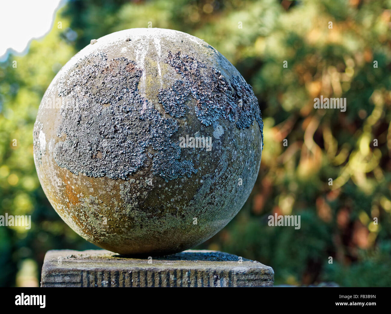 Ball of lichen hi-res stock photography and images - Alamy