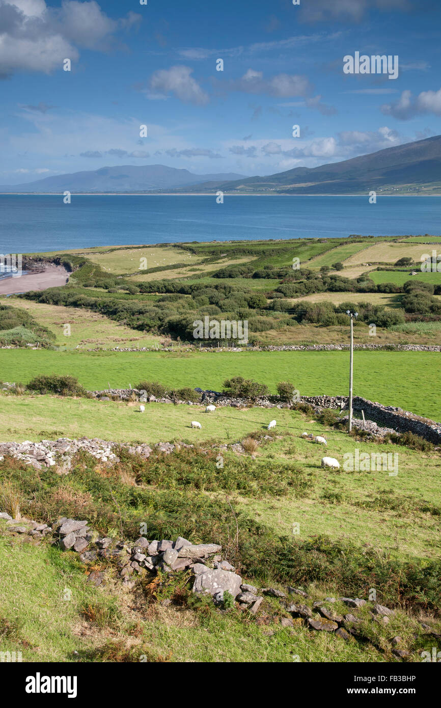 Brandon point hi-res stock photography and images - Alamy