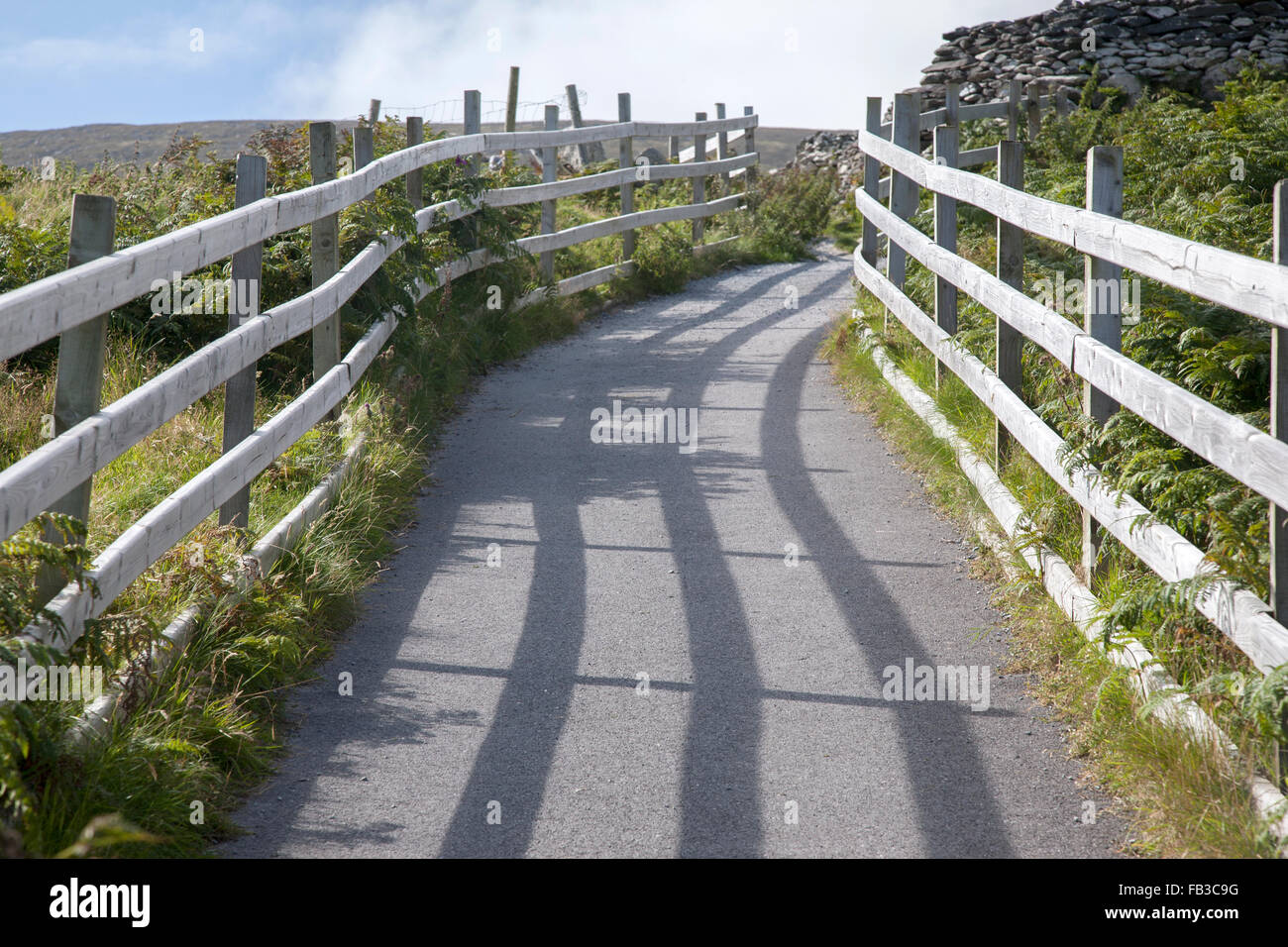 Pathway with Wooden Fence, Ireland in Summer Stock Photo - Alamy