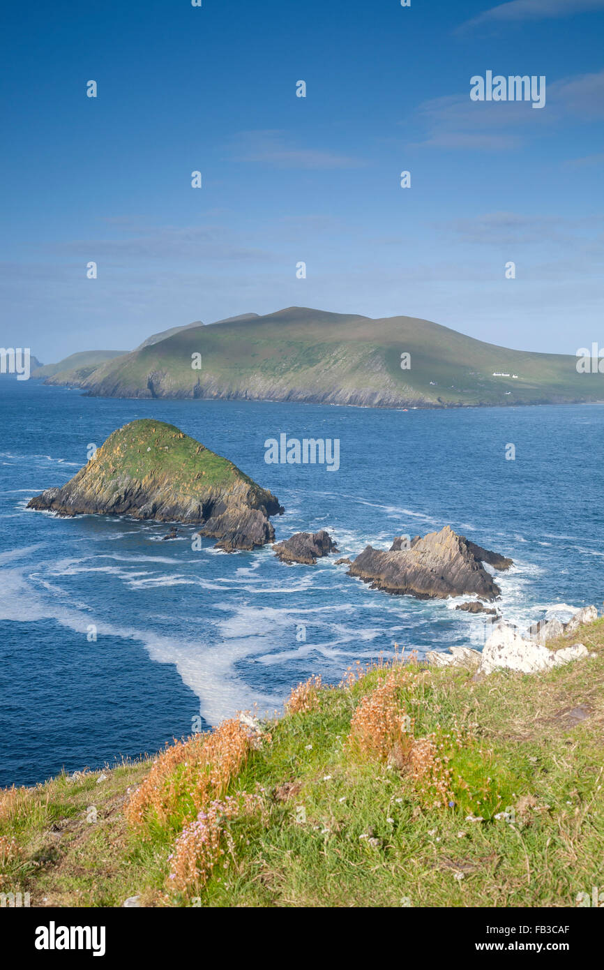 Lure and Blasket Islands, Dingle Peninsula, Ireland Stock Photo - Alamy