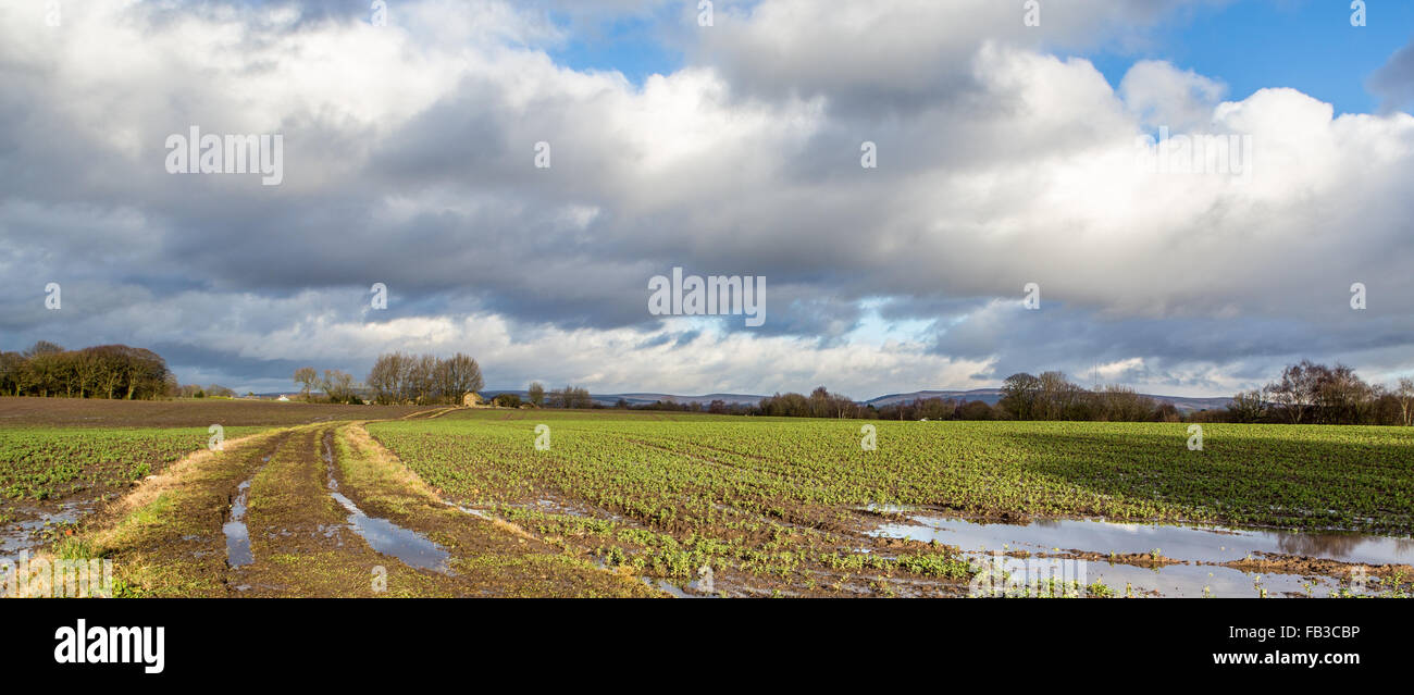 remote farmhouse in the distance under a threatening sky. Strong ...